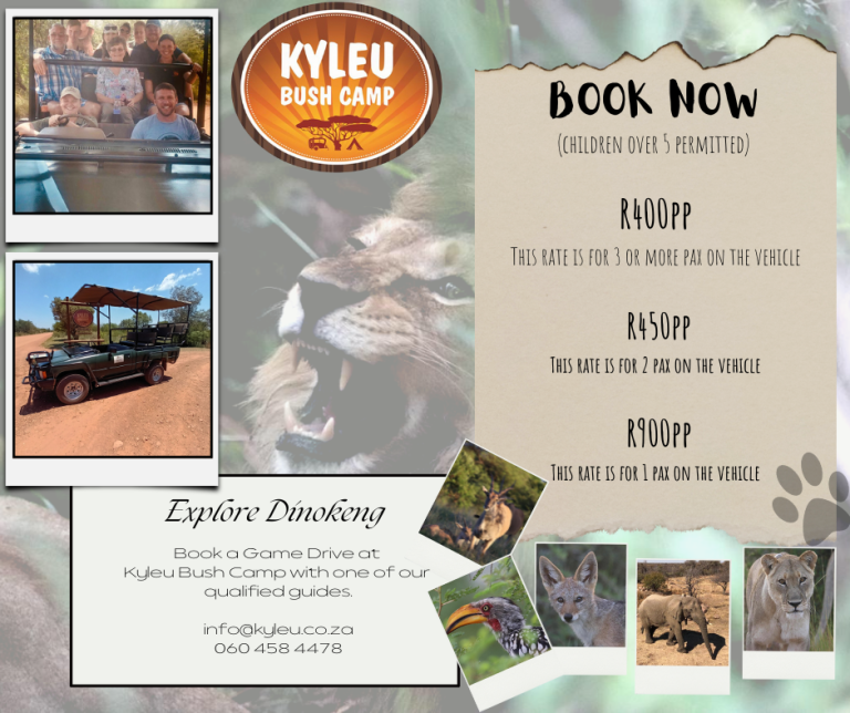 Game Drives – KYLEU BUSH CAMP